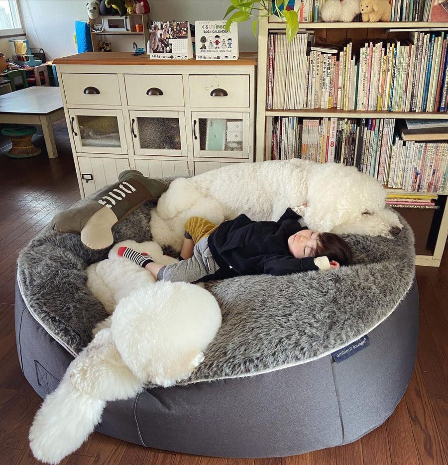 Puff para mascotas: Pon a tu perro querido en la nube 9!