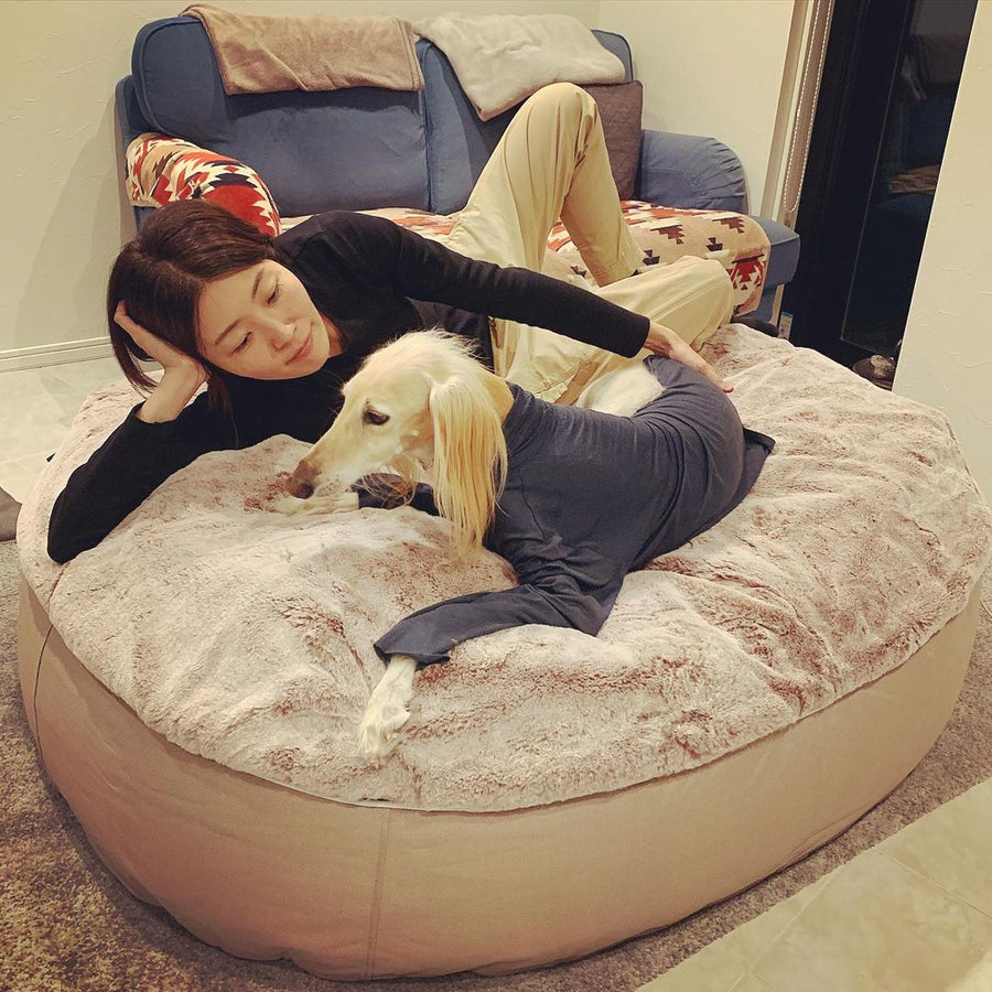 Puff para mascotas: Pon a tu perro querido en la nube 9!