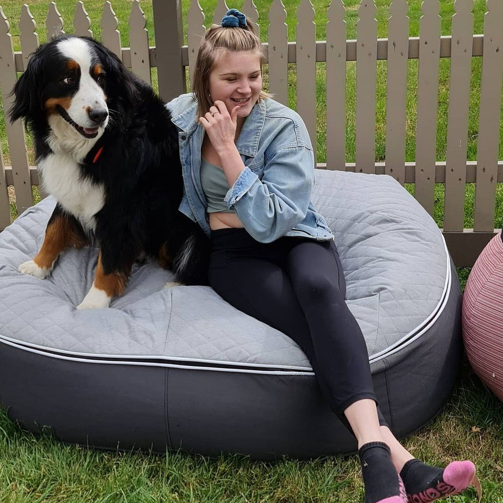 Puff para mascotas: Pon a tu perro querido en la nube 9!