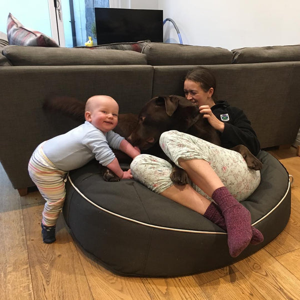 Puff para mascotas: Pon a tu perro querido en la nube 9!