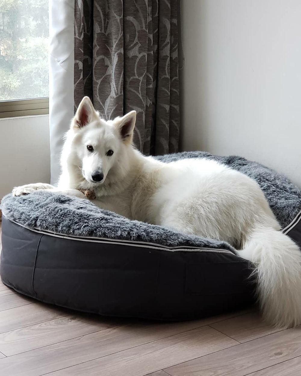 Puff para mascotas: Pon a tu perro querido en la nube 9!